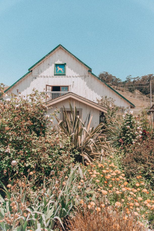 Things to do in Pescadero: A One Day Itinerary - 2023