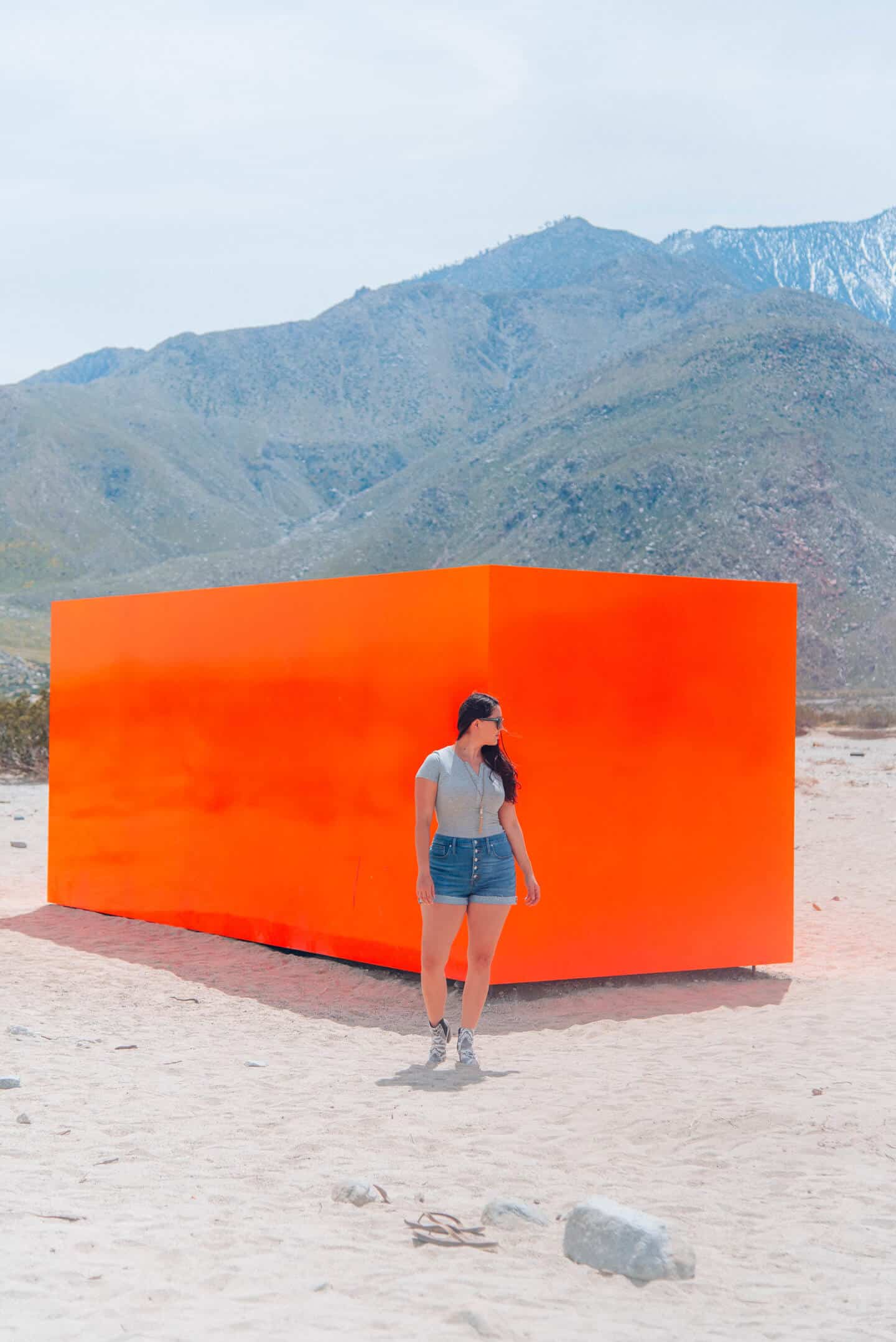 Everything you need to know about Desert X in Palm Springs - What The Fab