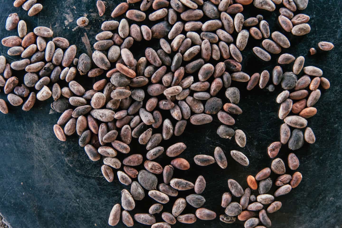 Where to Stay in Belize: Cotton Tree Lodge - 2023