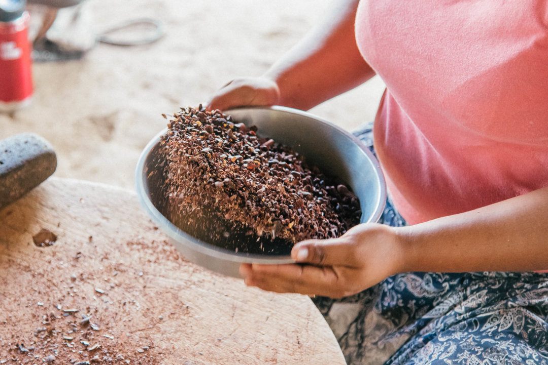 Where to Stay in Belize: Cotton Tree Lodge - 2023