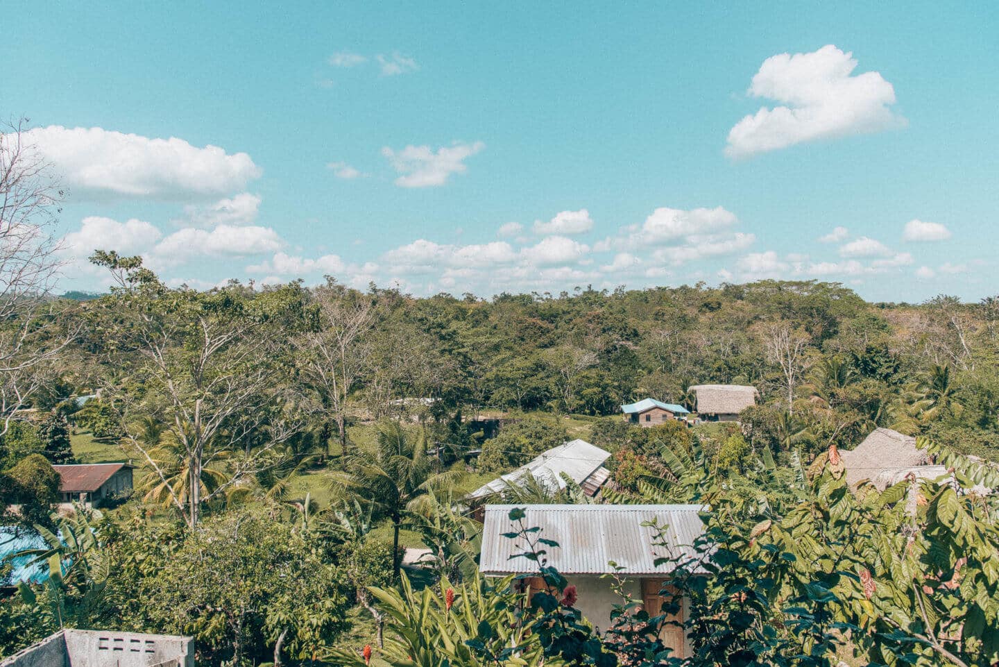 Where to Stay in Belize: Cotton Tree Lodge - 2023