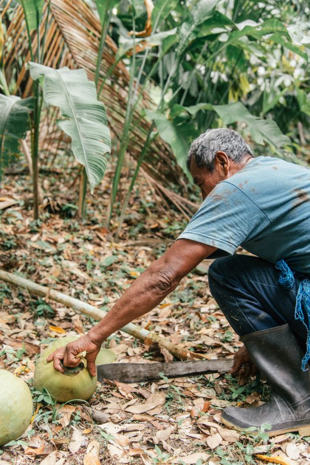 Where to Stay in Belize: Cotton Tree Lodge - 2023