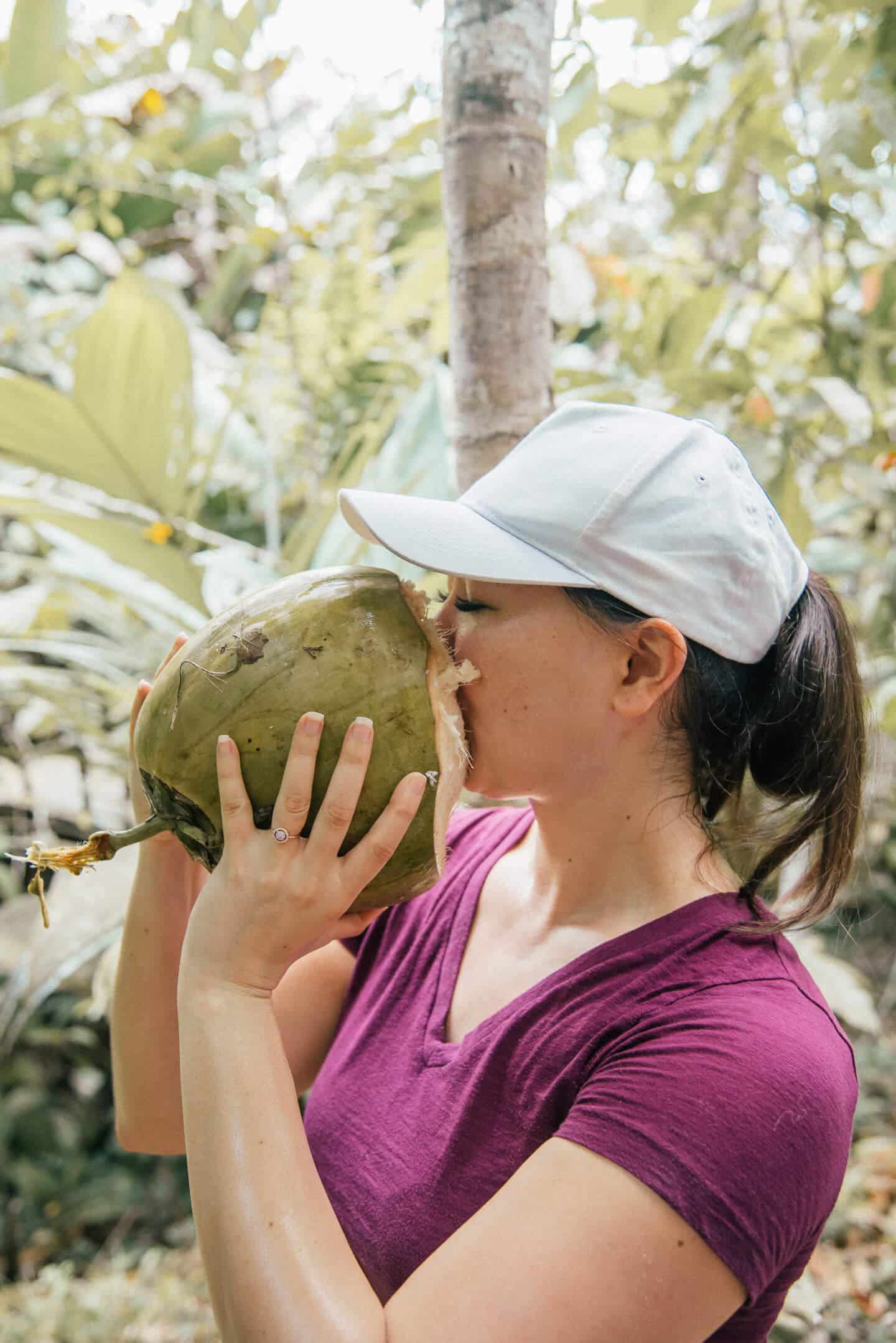 Where to Stay in Belize: Cotton Tree Lodge - 2023