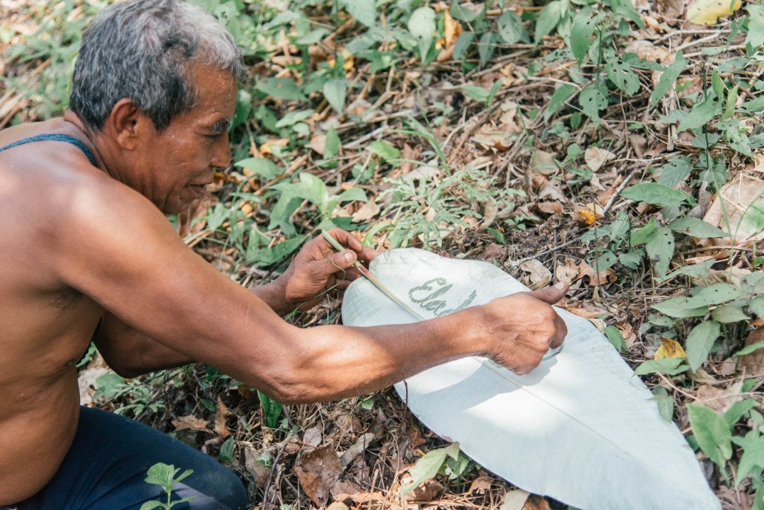 Where to Stay in Belize: Cotton Tree Lodge - 2023