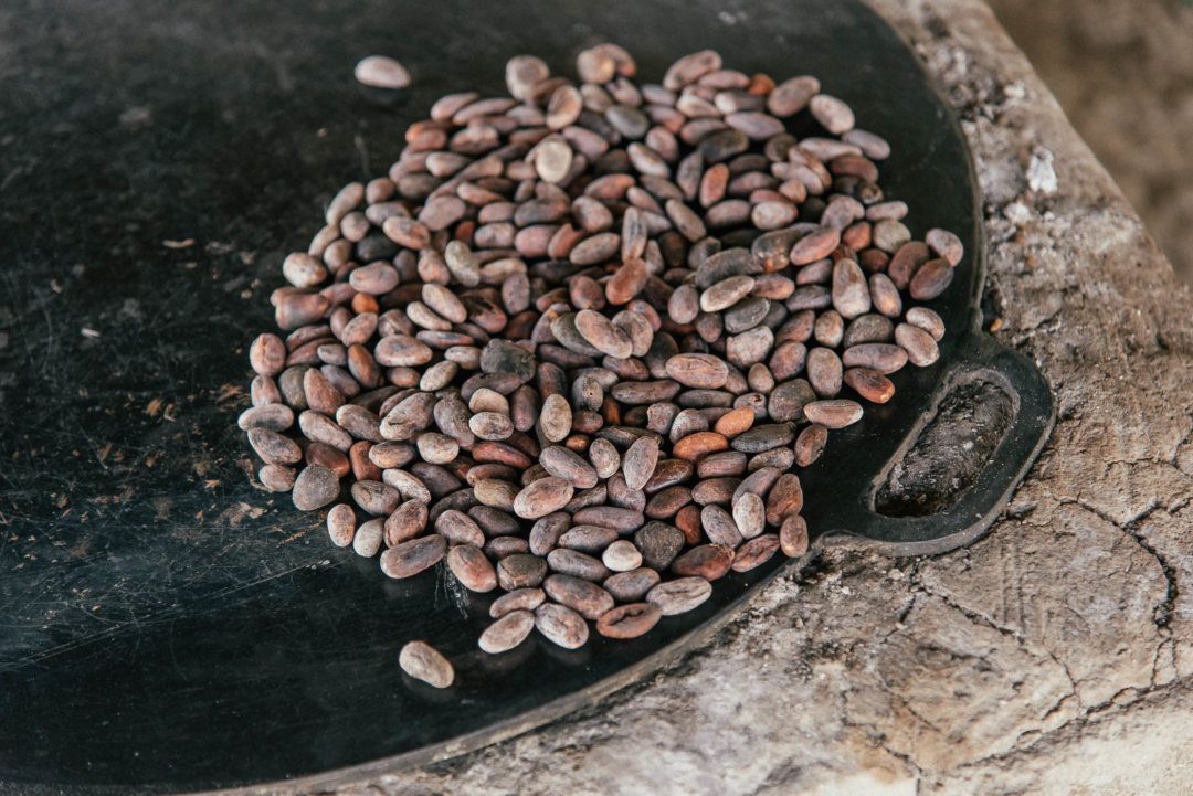 Where to Stay in Belize: Cotton Tree Lodge - 2023