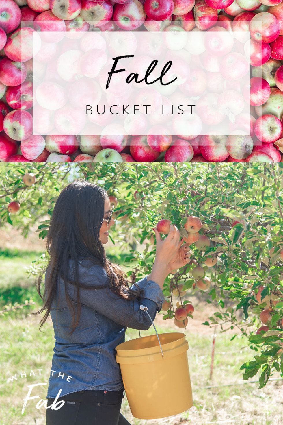 20 EPIC Ideas to Add to Your Fall Bucket List for 2023