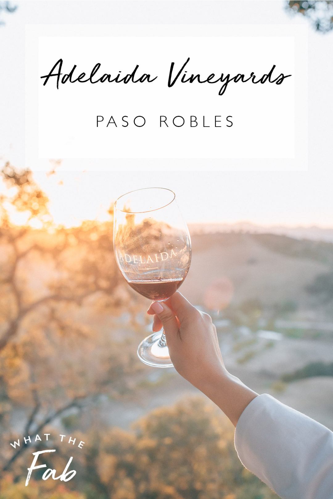 Adelaida Winery: One of the Best Paso Wineries to Visit for 2023