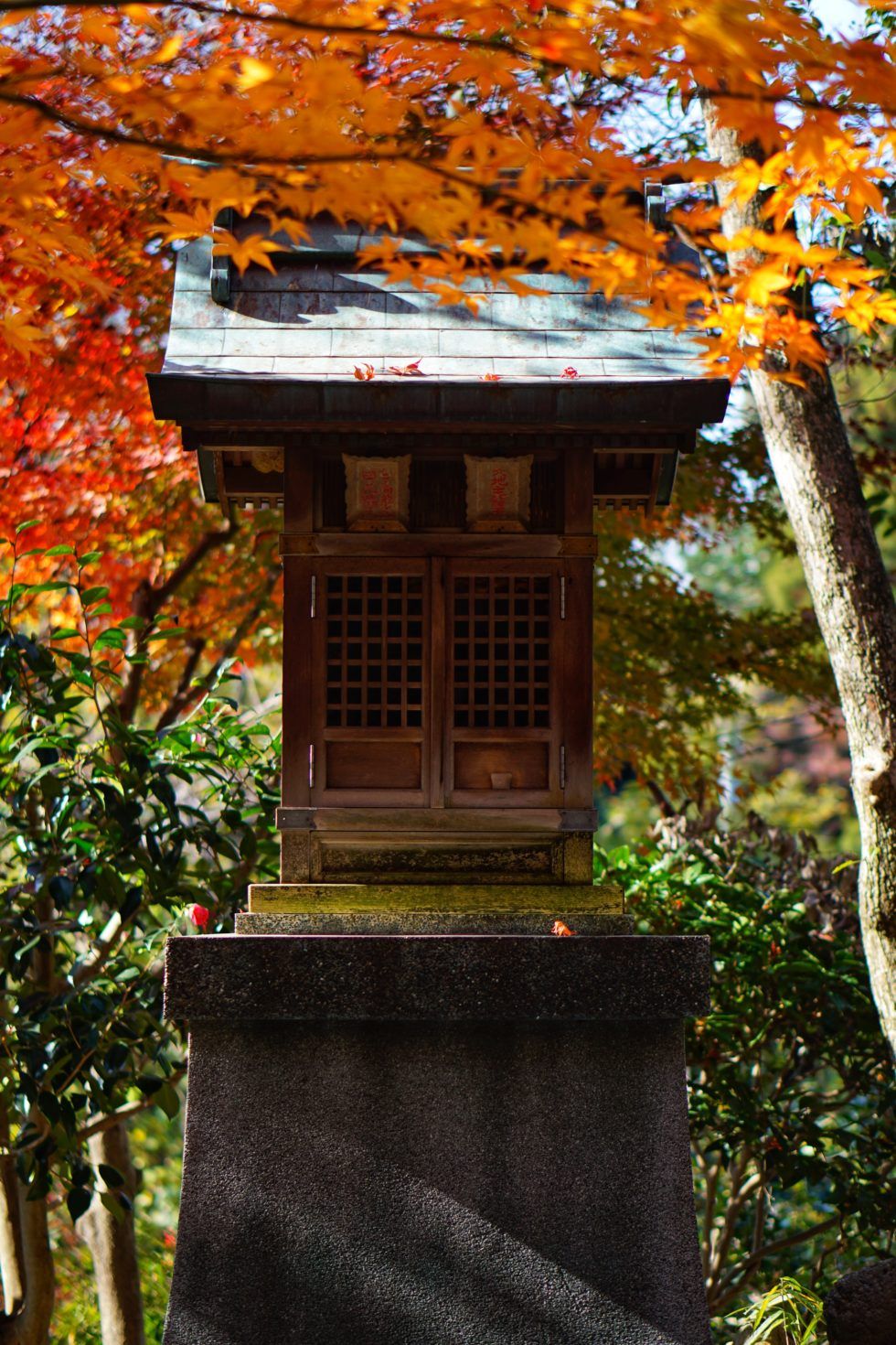 1 Day Kyoto Itinerary: The ULTIMATE Day Guide to Kyoto | 2023