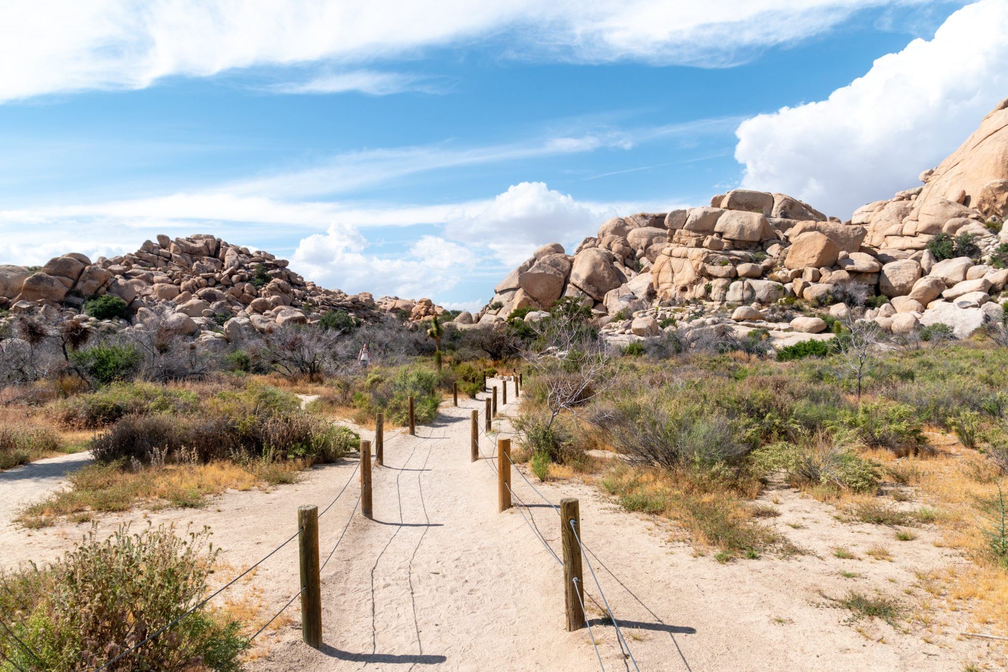 The Best Hikes in Joshua Tree for the ULTIMATE Adventure | 2023