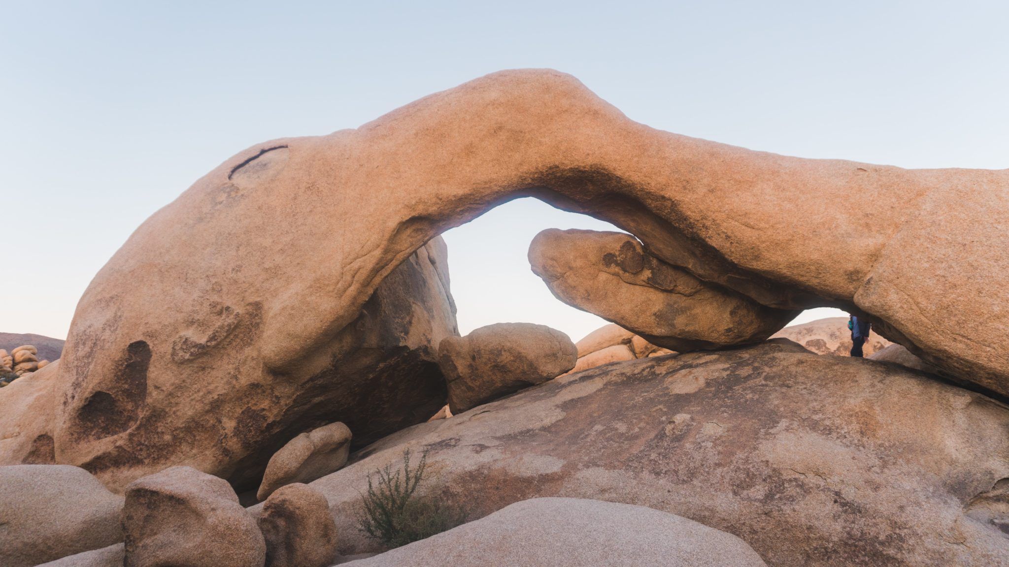 The Best Hikes in Joshua Tree for the ULTIMATE Adventure | 2023