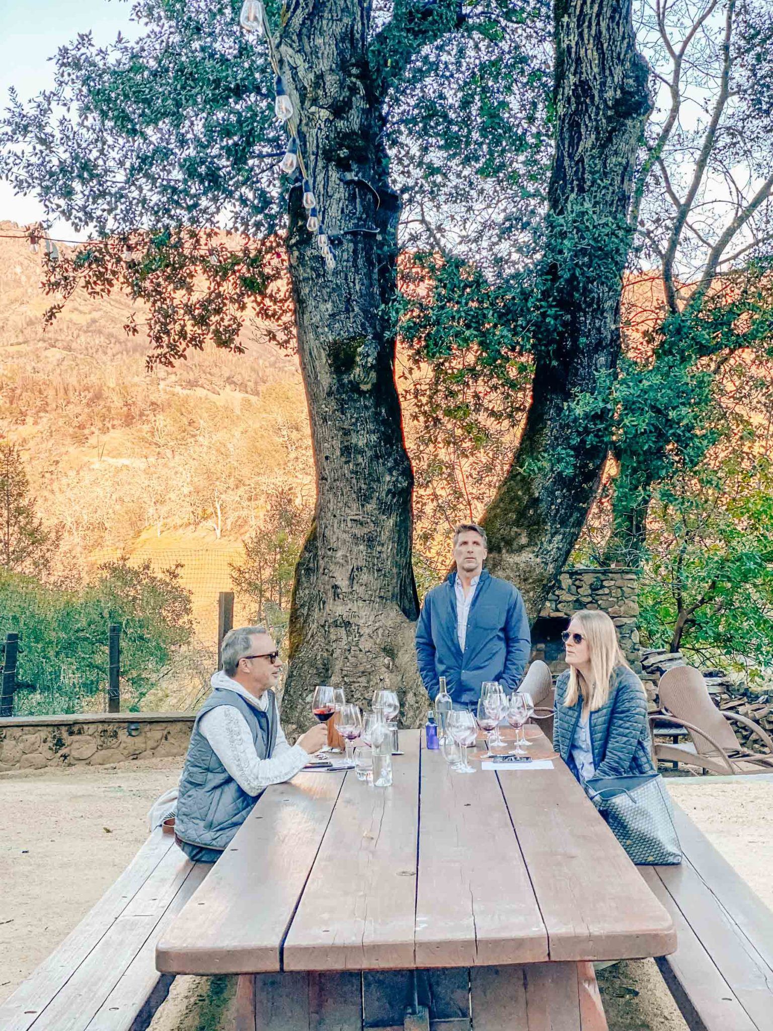Best Outdoor Wine Tasting in Napa Open Now! 2023
