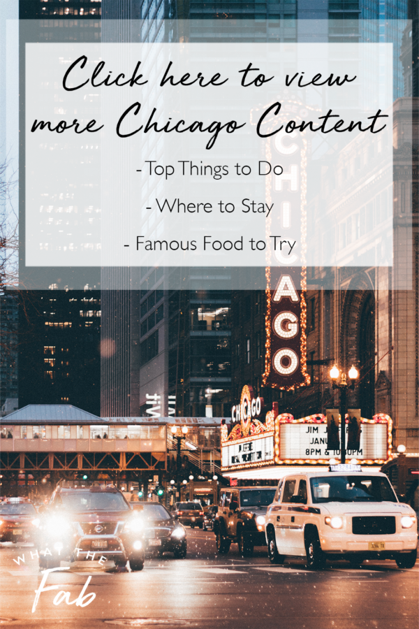 20 Fun Things to Do in Chicago at Night