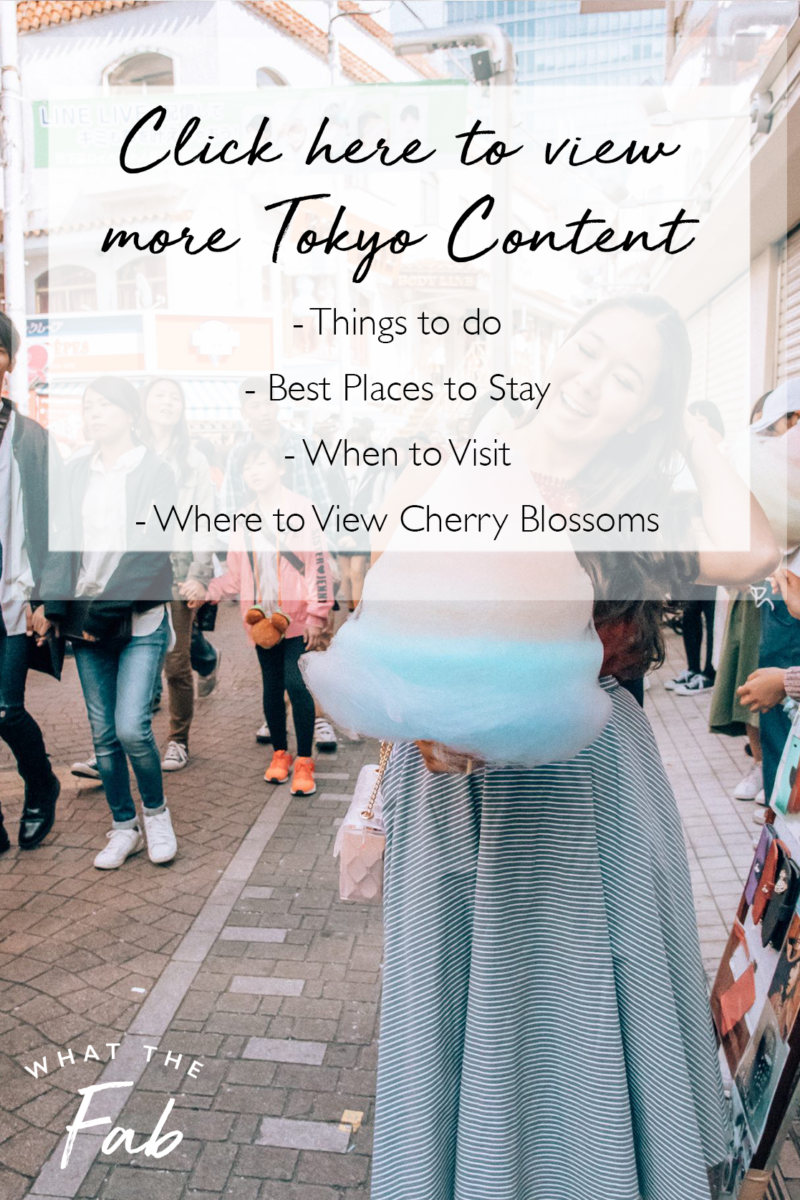 The Ultimate Japan Guide for 2023: 7 AMAZING Places to Visit Near Tokyo