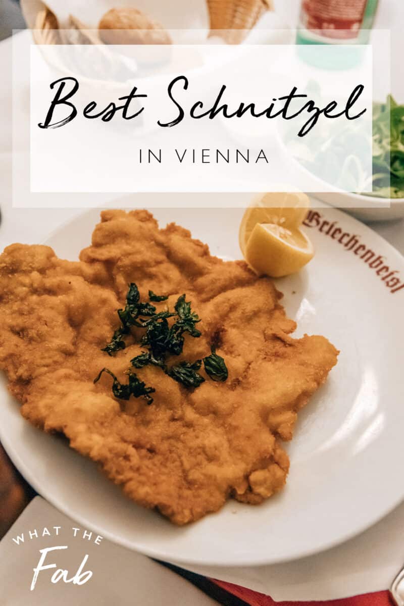The BEST Schnitzel in Vienna That You Can't Miss | 2023