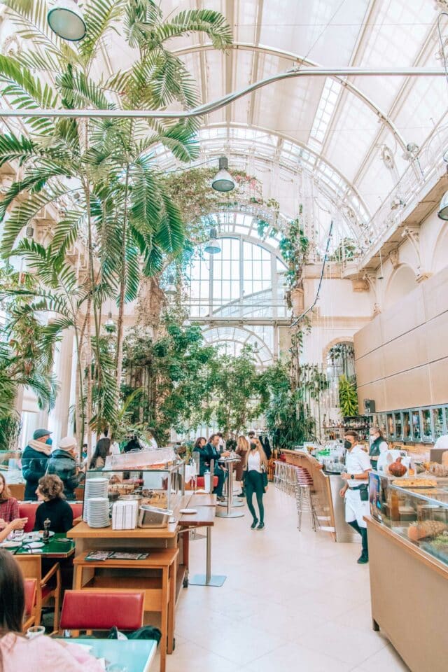 BEST Breakfast in Vienna: The Top Restaurants You Can't Miss