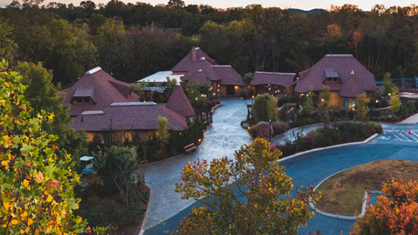 Nashville with Kids: 15 Fun Things to Do in Music City