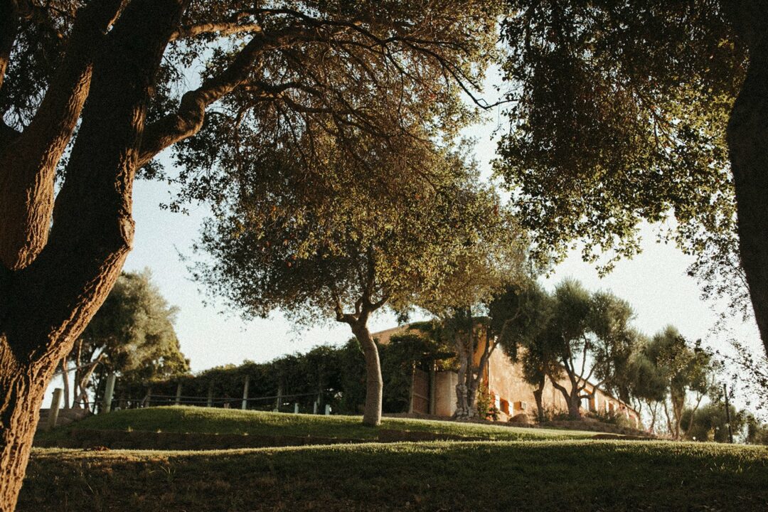 The 6 BEST Santa Maria Wineries to Visit | 2023