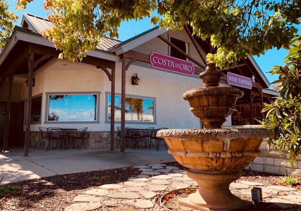 The 6 BEST Santa Maria Wineries to Visit | 2023