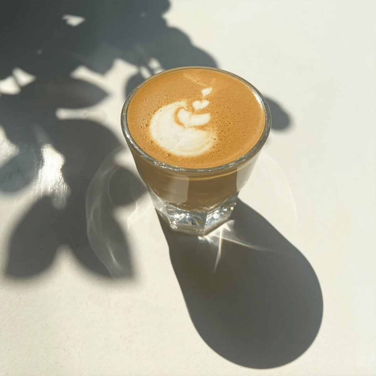 Bend Oregon Coffee: The Most Delicious Spots To Try