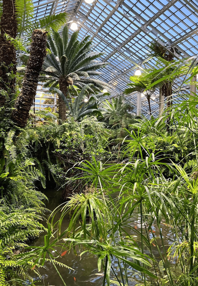 22 BEST Indoor Activities Chicago Has to Offer