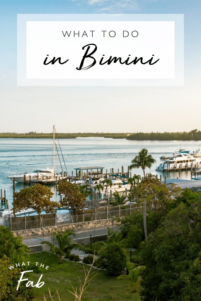 What to Do in Bimini: 15 Can't-Miss Activities