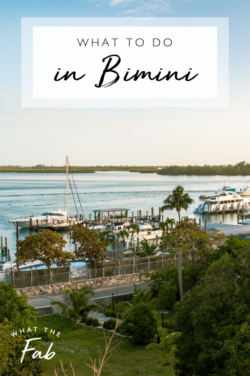 What to Do in Bimini: 15 Can't-Miss Activities