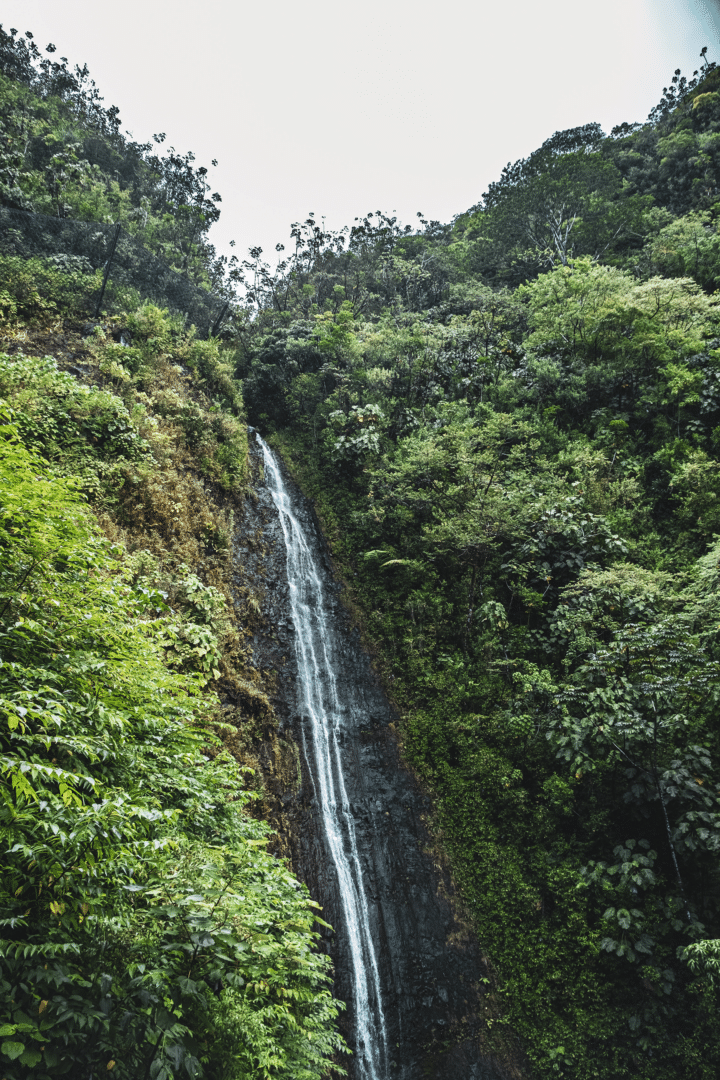 14 EPIC Hikes to Waterfalls in Oahu
