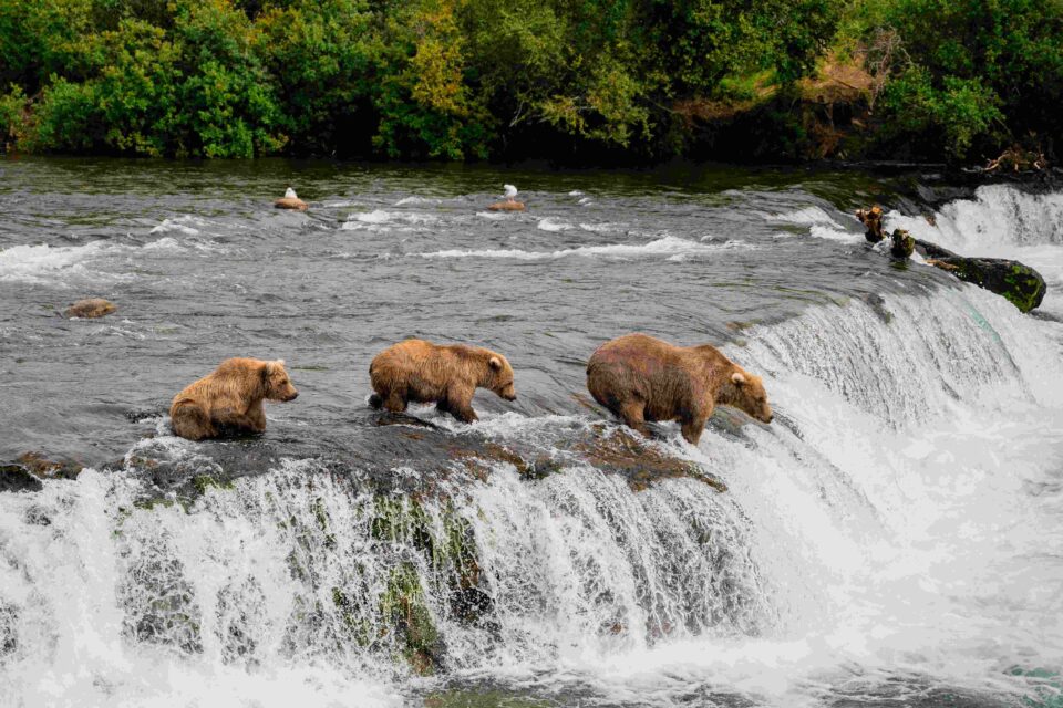 8 Amazing Alaska National Parks Absolutely Worth The Journey
