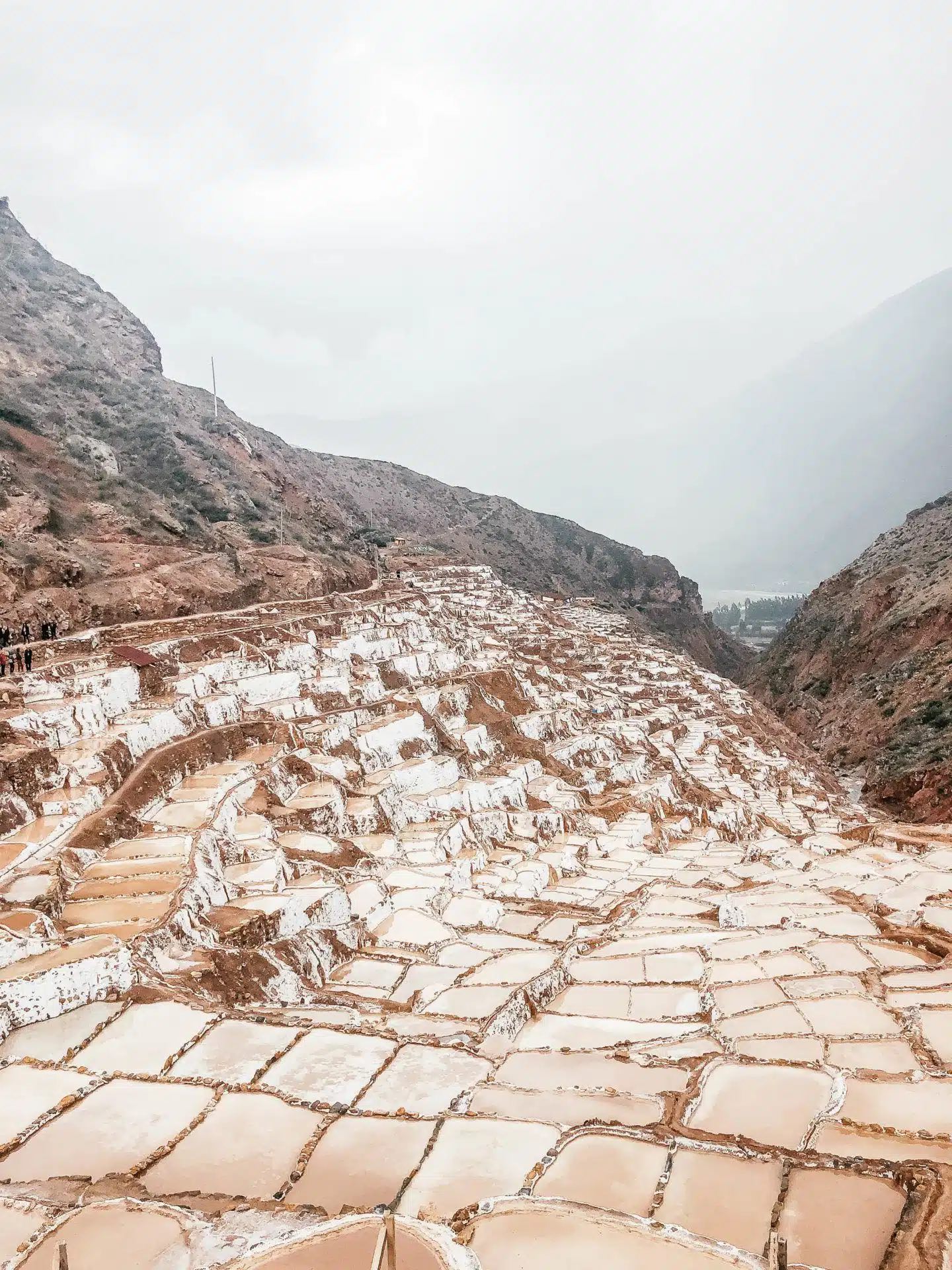 Peru Hop: A Tell-All Review