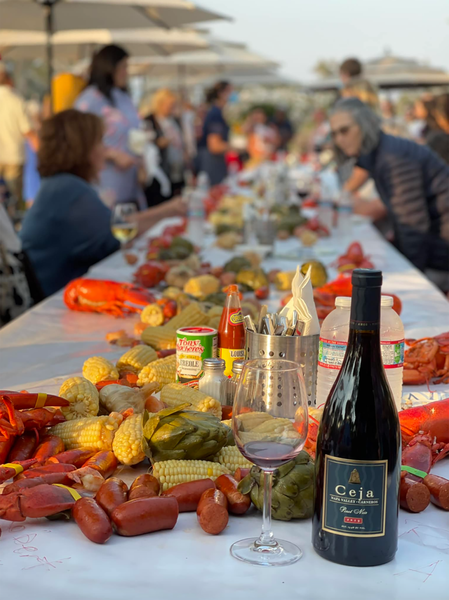 The BEST Wineries in Carneros For an Unforgettable Time
