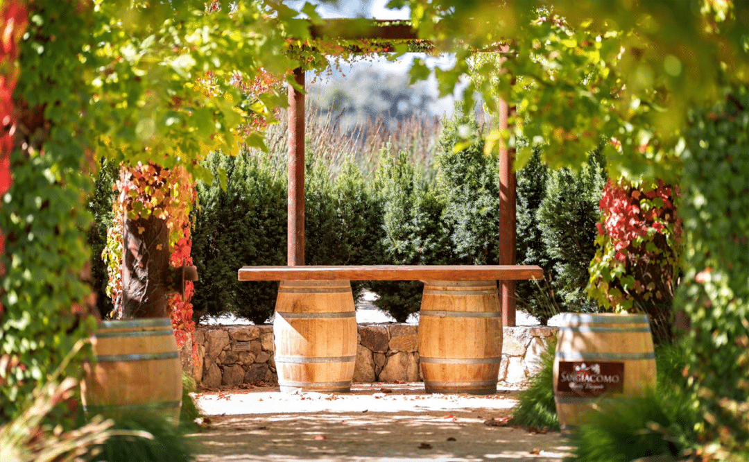 The BEST Wineries in Carneros For an Unforgettable Time