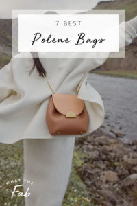Polene Bags: A Guide to the 7 BEST Polene Bags