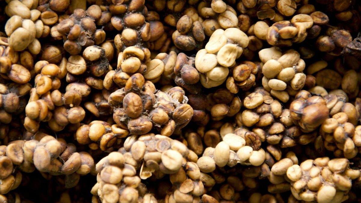 8 Most Disgusting Foods You Should NEVER Eat