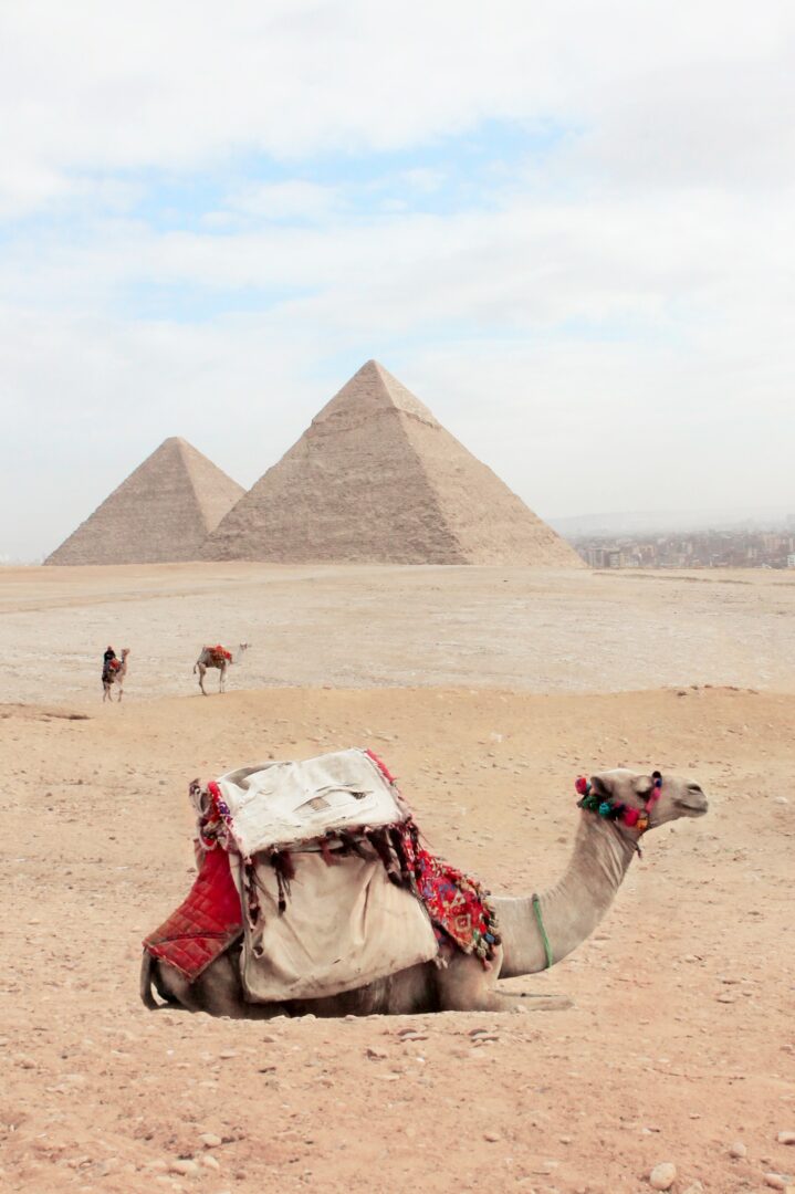 The Best Things To Do in Cairo Egypt: A Guide to the Top 13 Activities ...