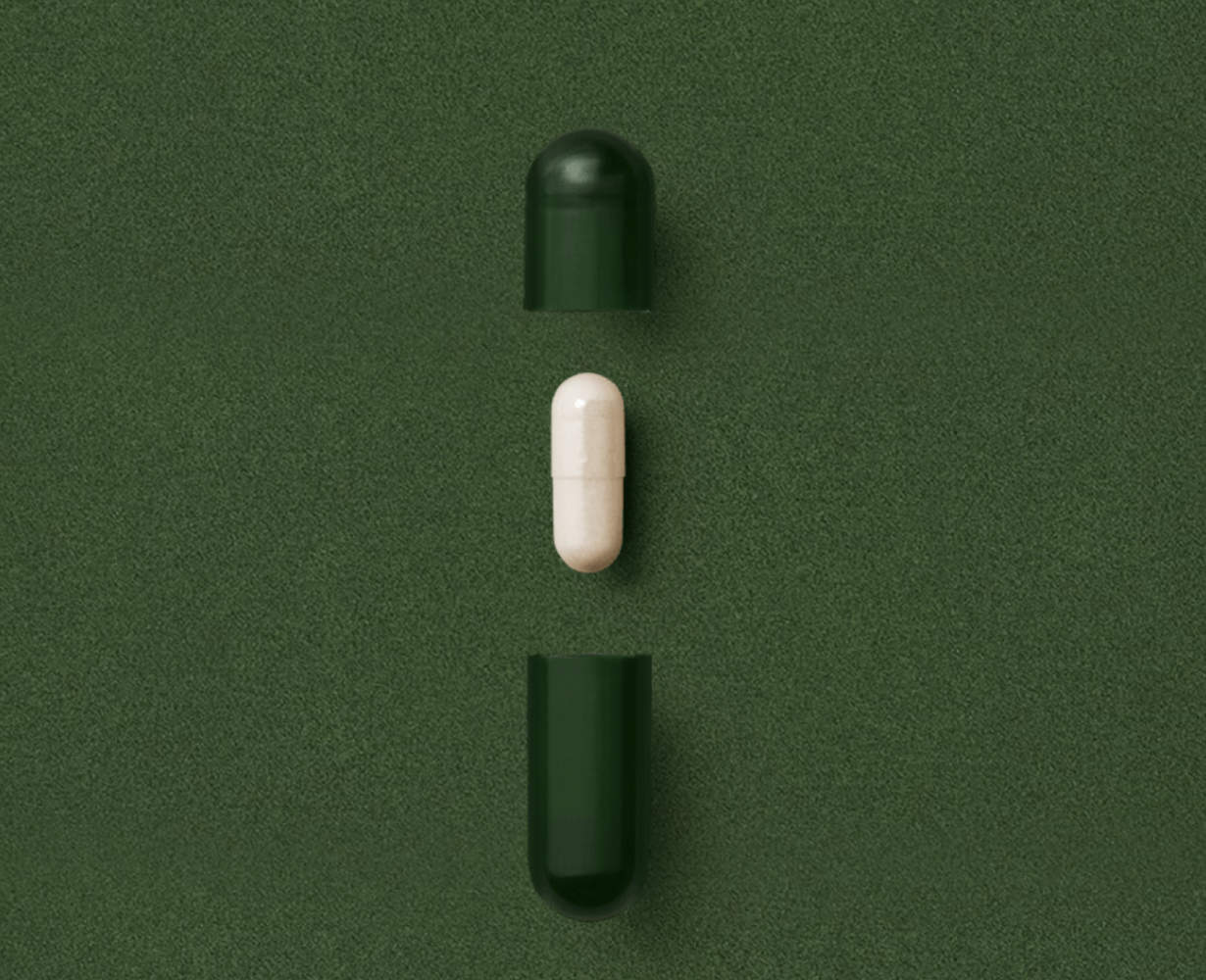 Seed Probiotics Review: My HONEST Thoughts After a Year