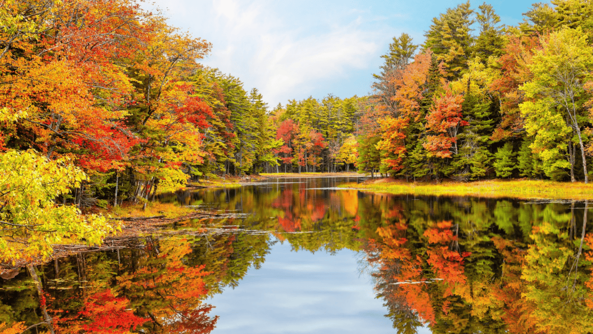 14 Underrated US States You Must Visit at Least Once in Your Life