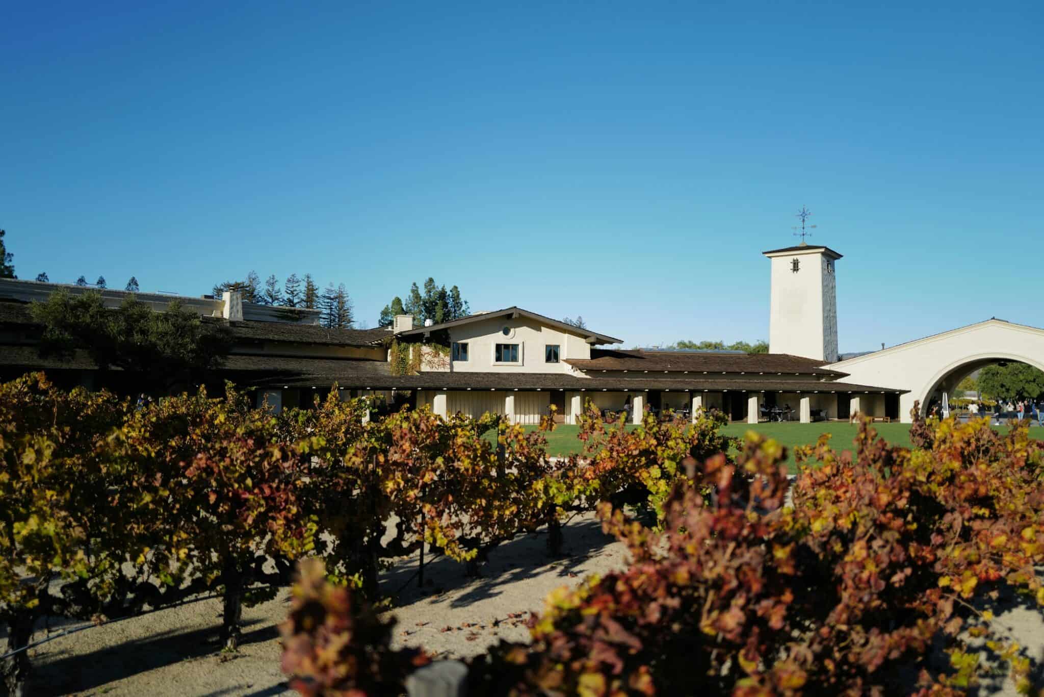 10 Things to Do in Napa