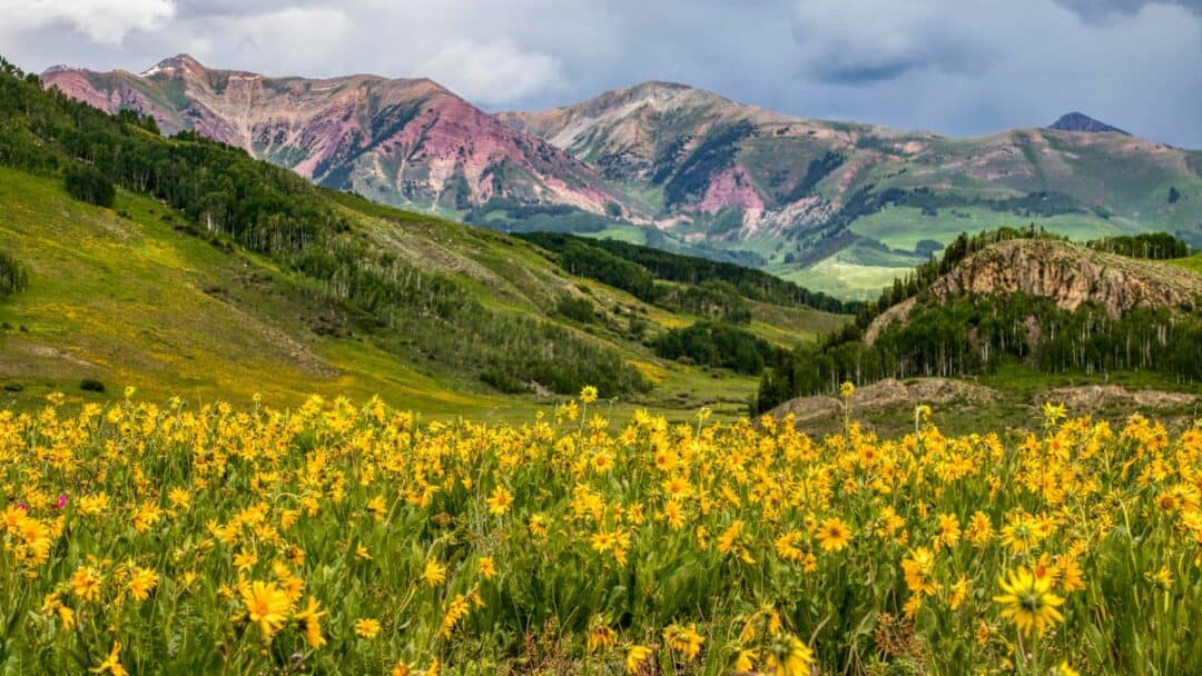 14 Best Cities to Visit in Colorado This Year - What The Fab