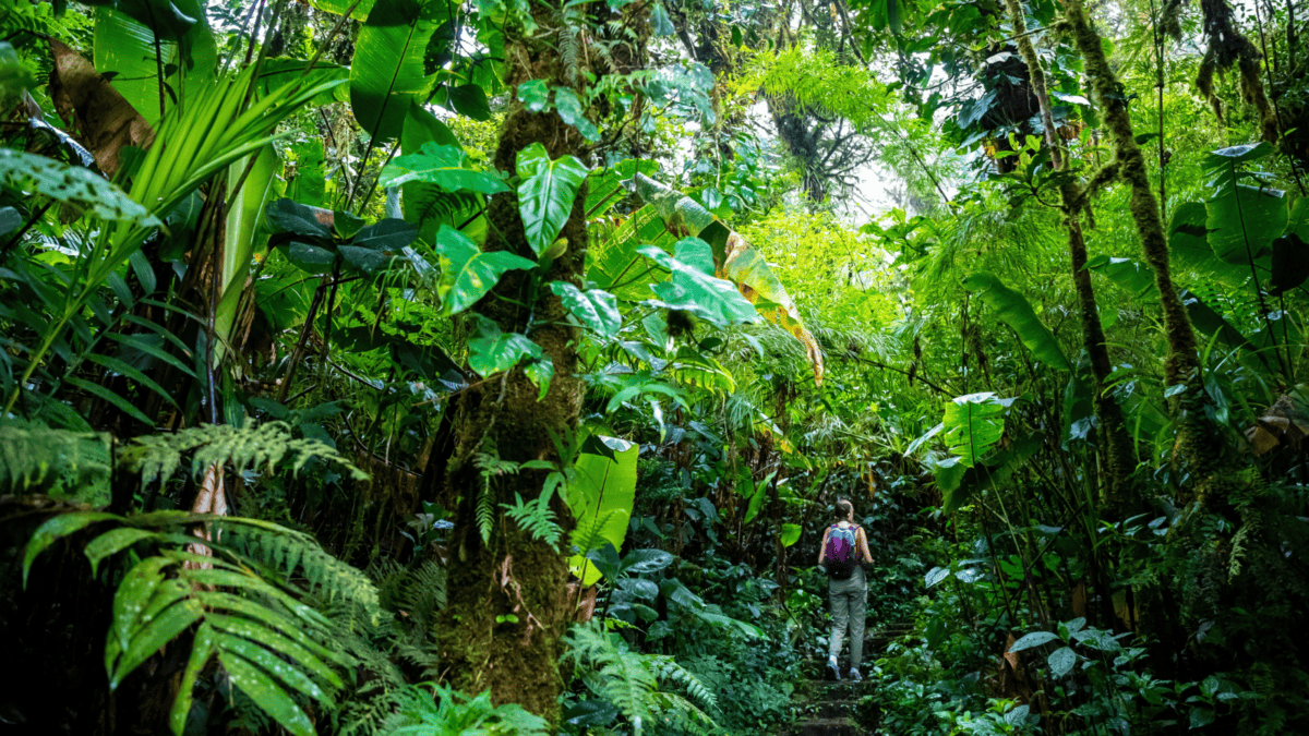 15 Disappearing Natural Wonders to See Before It's Too Late