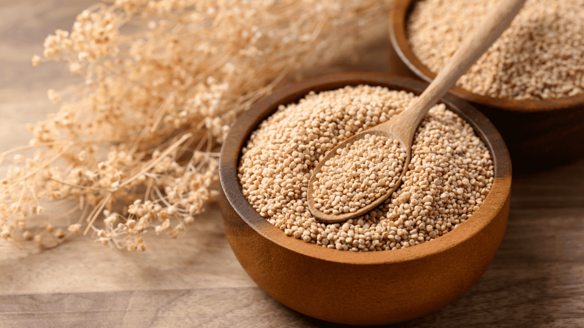 14 Brain-Boosting Foods to Evade Memory Loss and Improve Cognitive Function