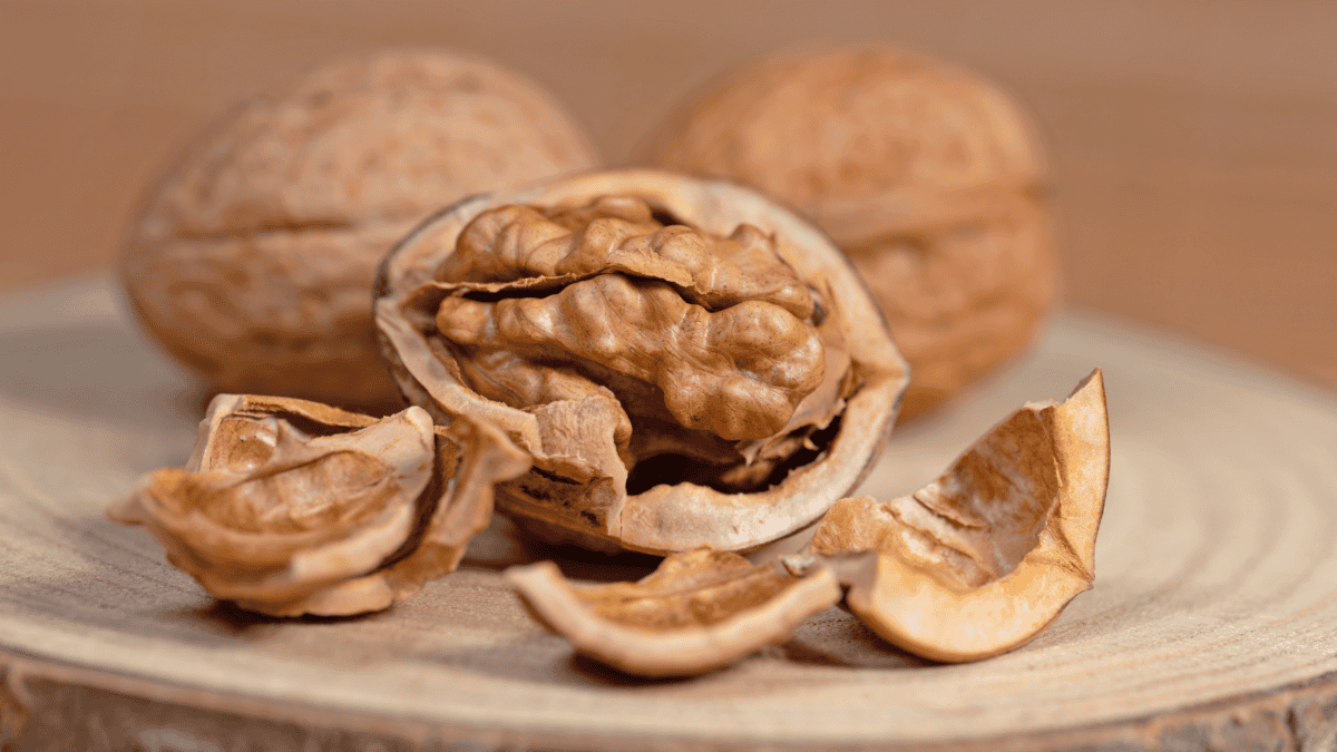 14 Brain-Boosting Foods to Evade Memory Loss and Improve Cognitive Function