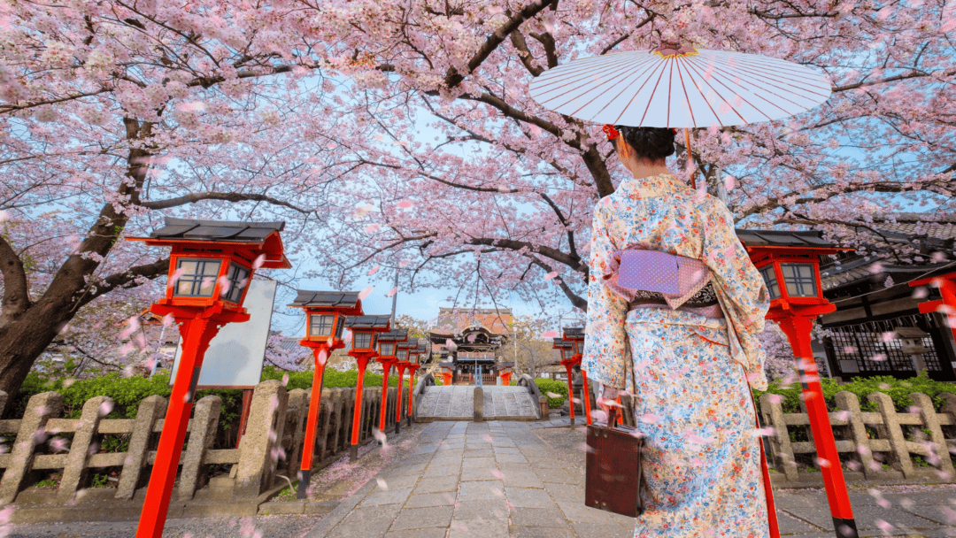 11 Compelling Reasons to Reconsider Visiting Japan