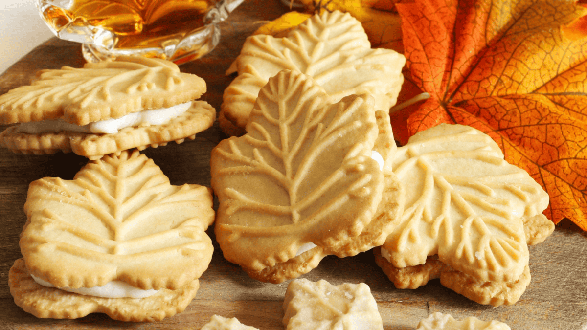 15 Best Aldi Fall Products, Ranked