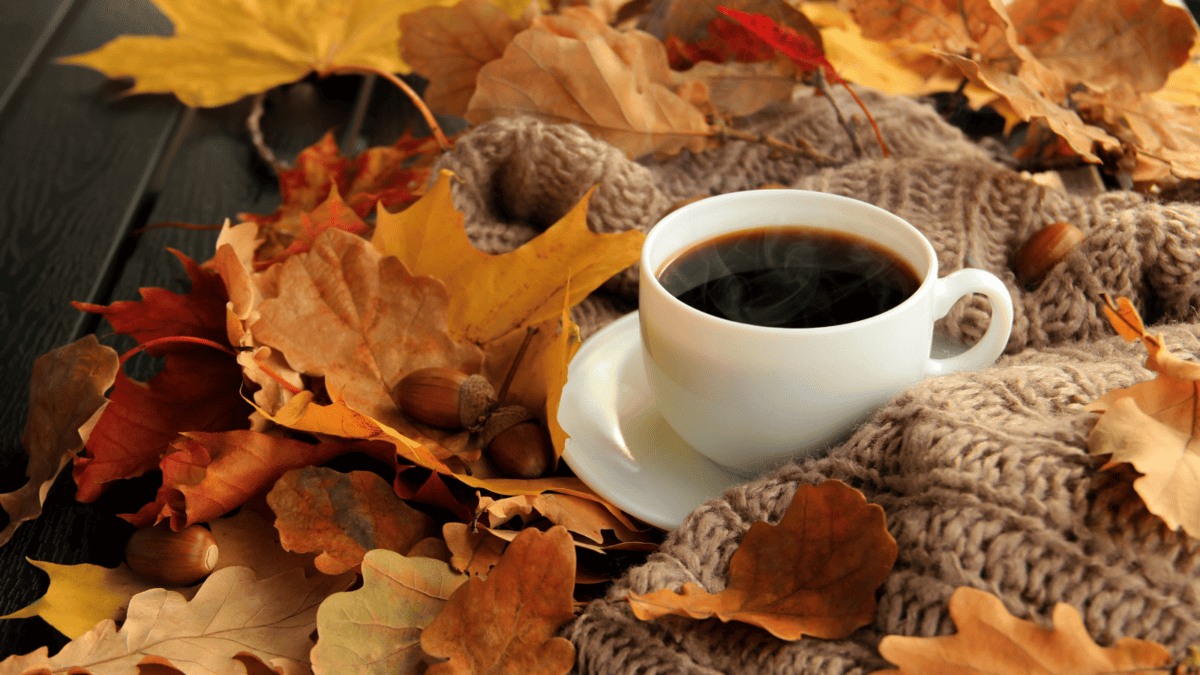 15 Best Aldi Fall Products, Ranked