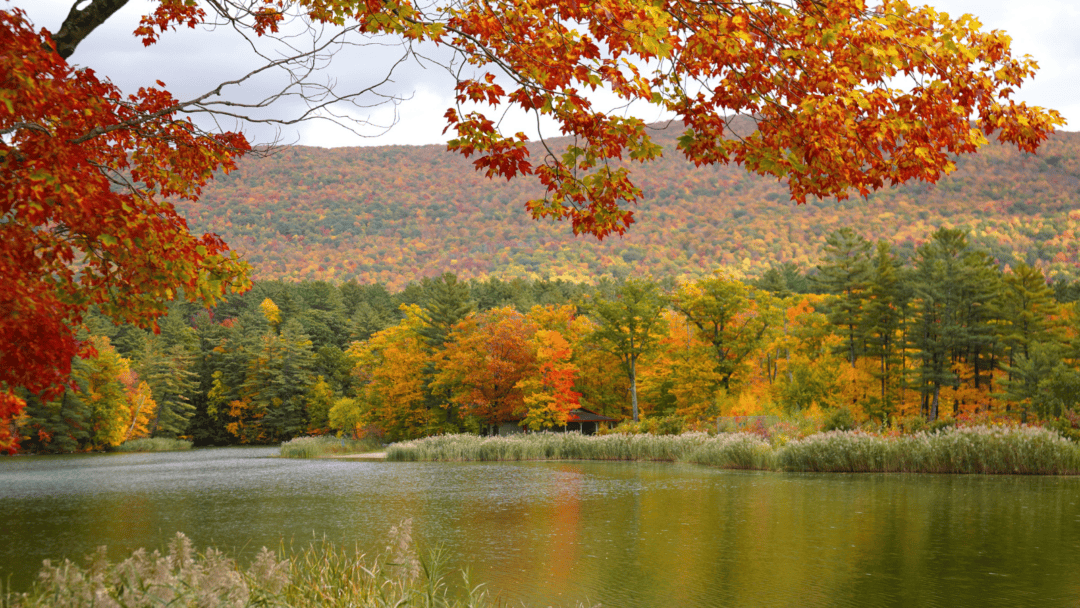 14 Unique US Airbnbs for an Unforgettable Stay