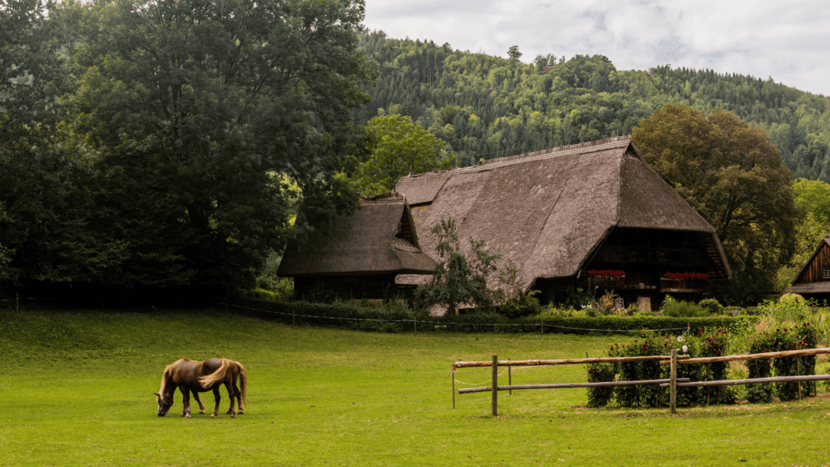 14 Wonders of Germany’s Black Forest You'll Never Forget